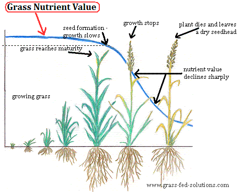 Successful Grazing Management - The Seven Core Rules