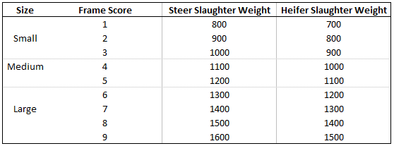 How to calculate target slaughter weights for your beef cattle ...